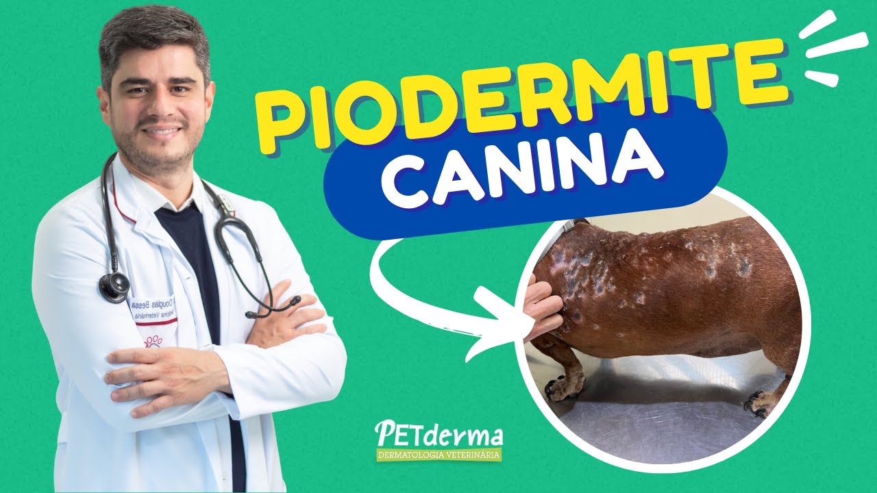 Piodermite Canina: O que é e como tratar? - Guia de Dermatologia ...